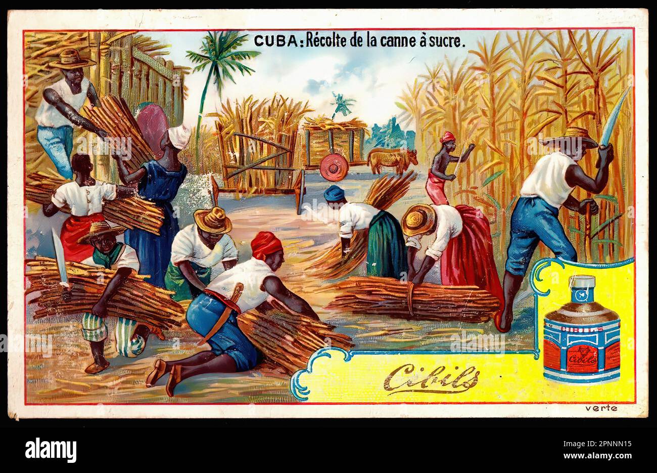 Harvesting Sugar Cane in Cuba - Vintage Belgian Trade Card, Belle ...