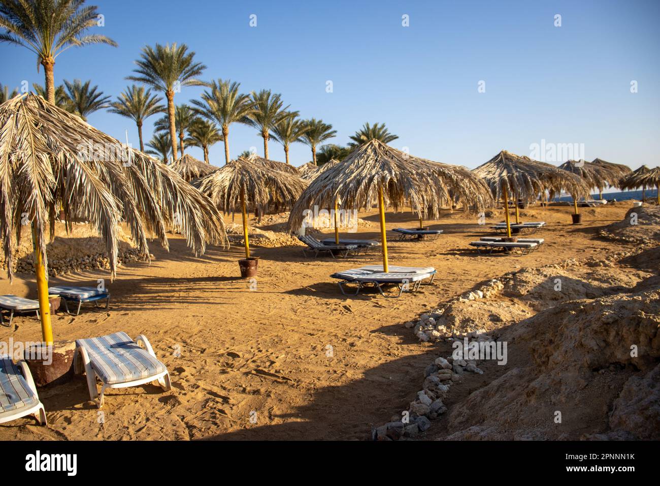 Desert coast line with dark blue water, palm trees and clear blue sky ...