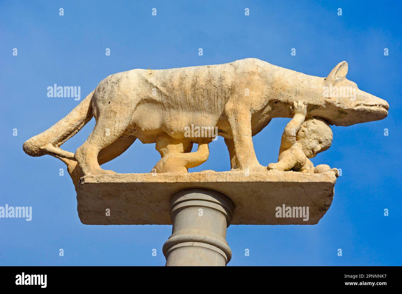 Siena, Duomo, Cathedral, Romulus and Remus, Cathedral, Cathedral Church ...