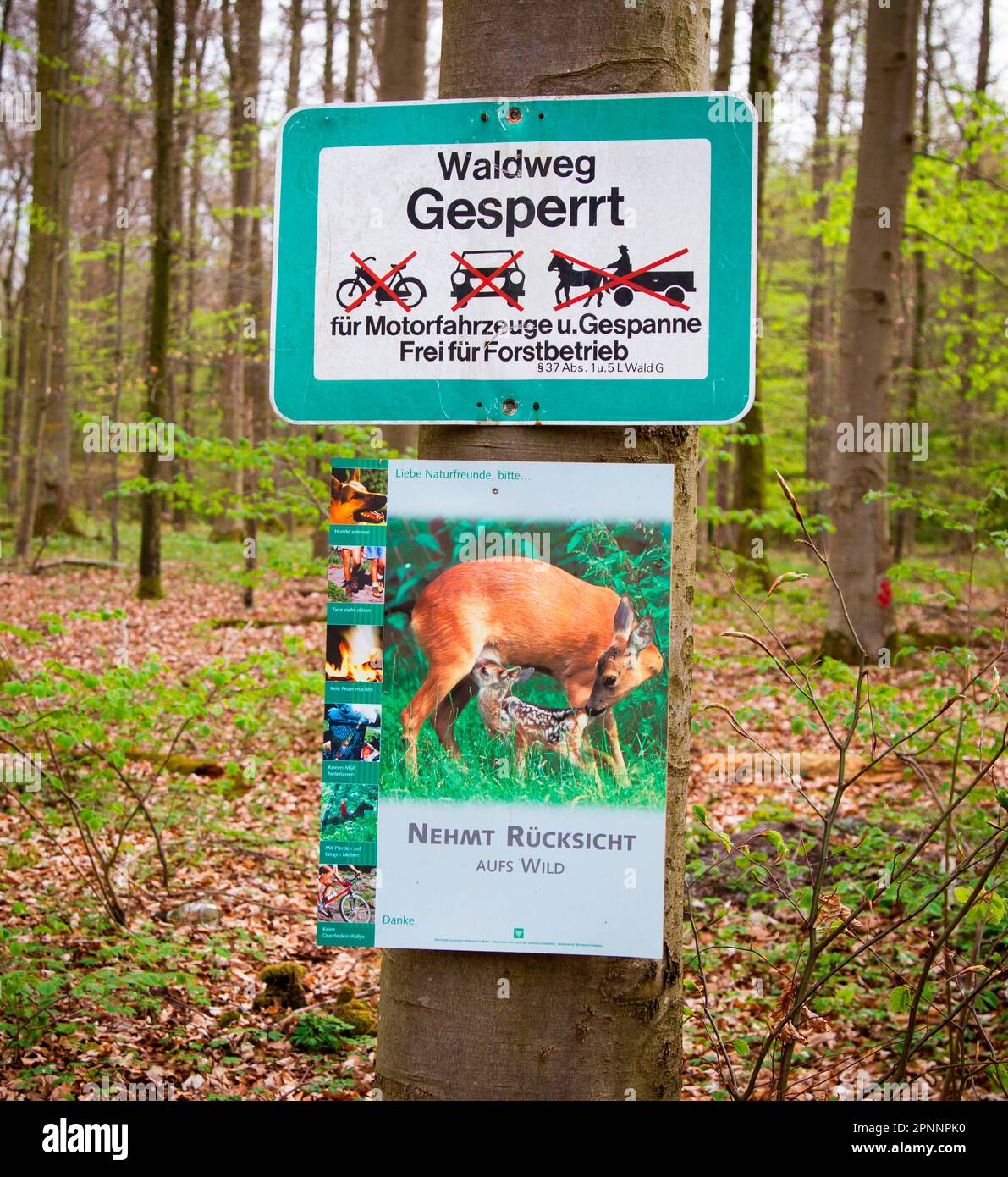 Road closed sign tree hi-res stock photography and images - Alamy