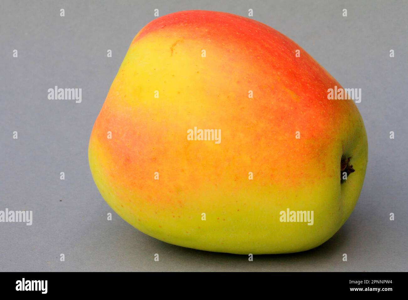 Swiss apple variety hi-res stock photography and images - Alamy