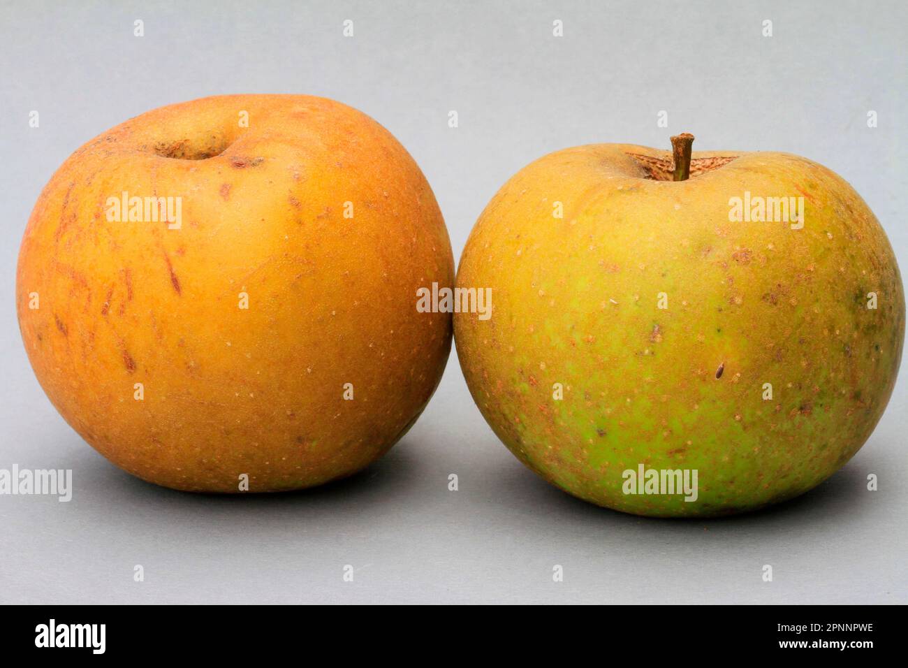 Apple, Kaiser Wilhelm variety Stock Photo - Alamy