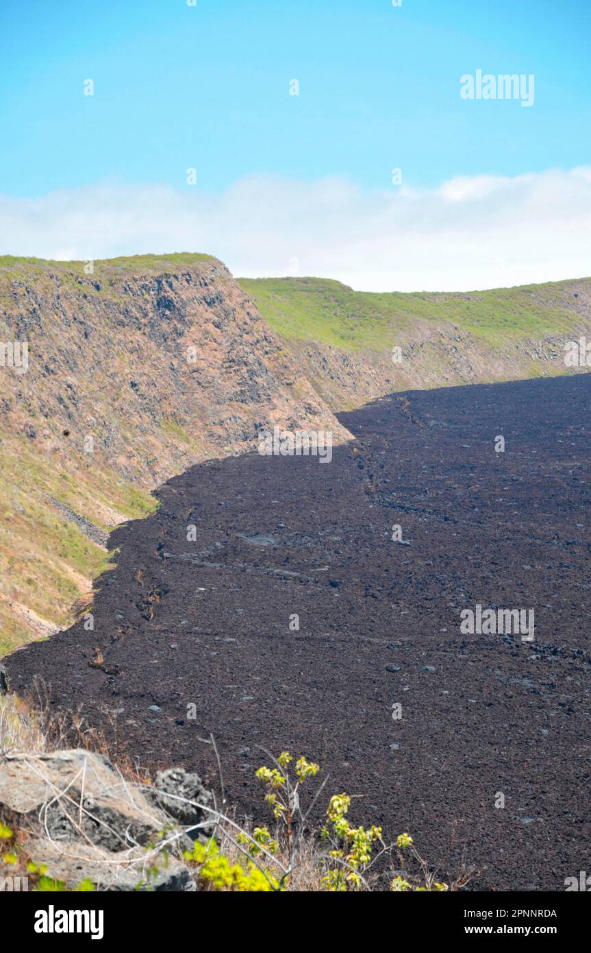 Caldera of the Sierra Negra volcano, crater Stock Photo - Alamy