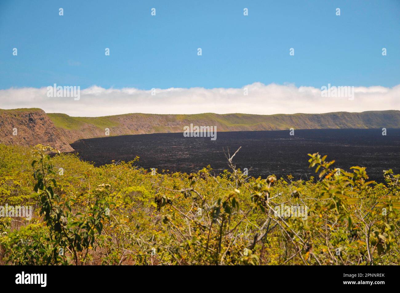 Caldera of the Sierra Negra volcano, crater Stock Photo - Alamy