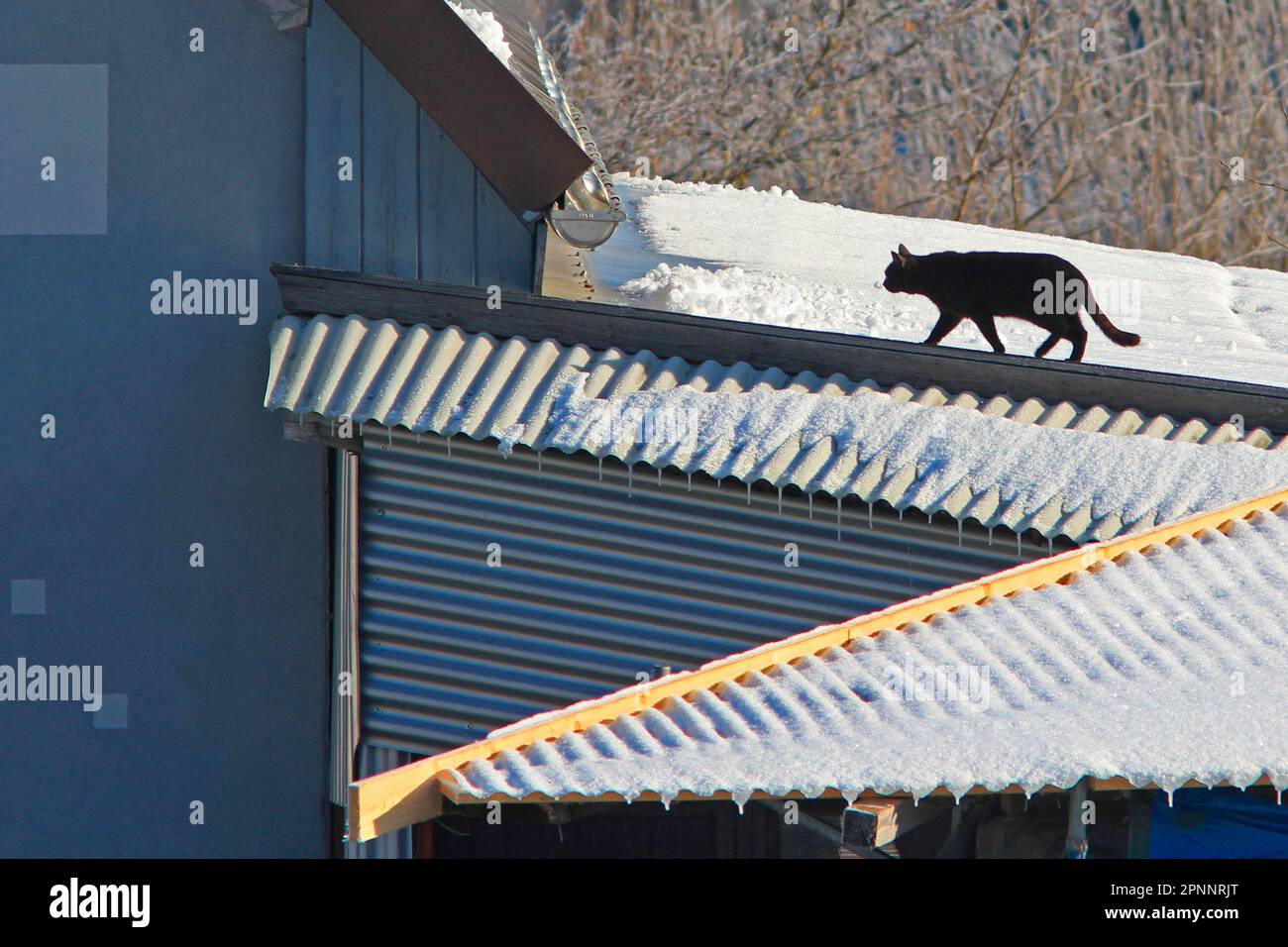 Outdoor roof hi-res stock photography and images - Alamy