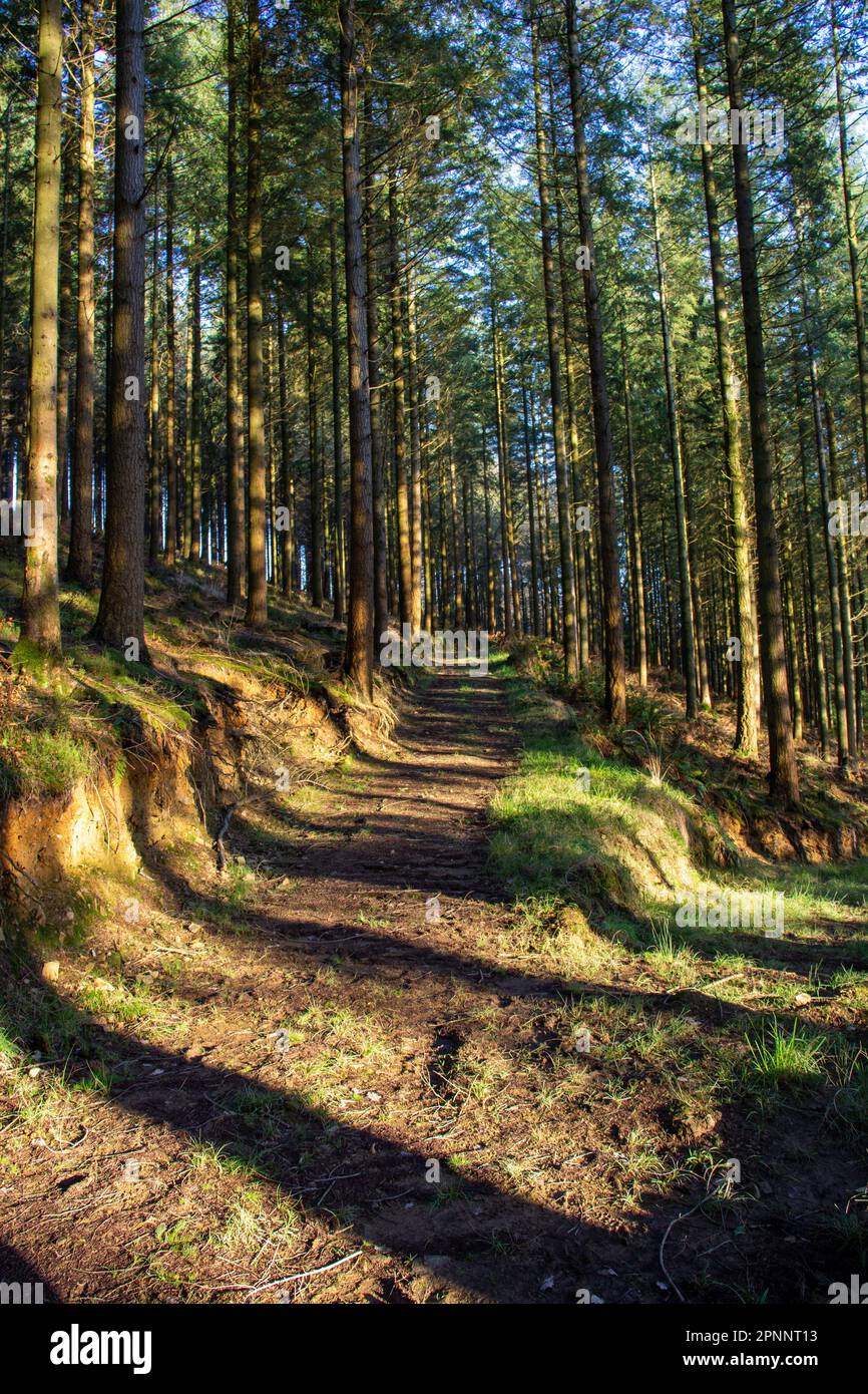 Uphill path hi-res stock photography and images - Alamy