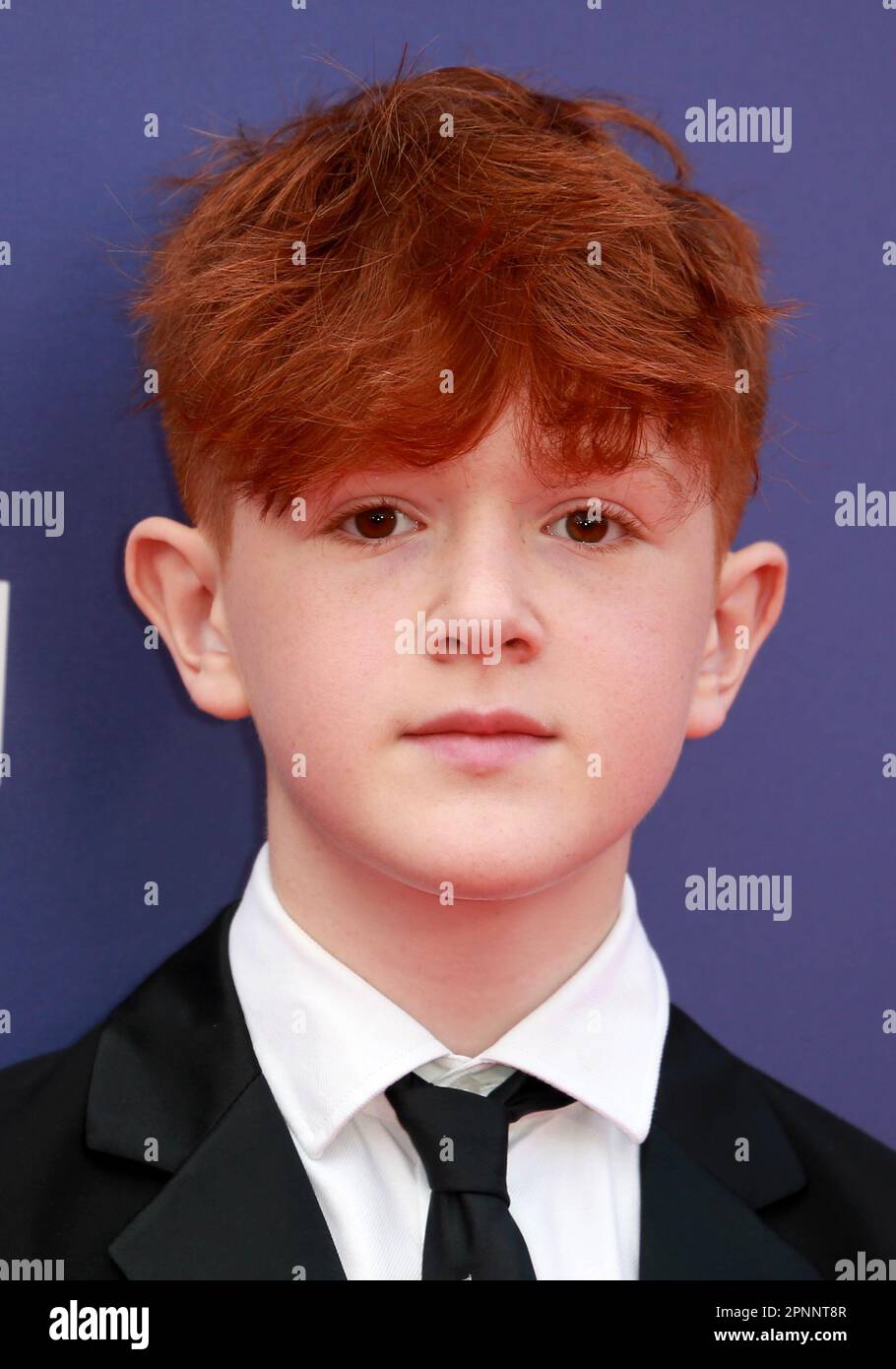 Gregory Mann attends the "Guillermo Del Toro's Pinocchio" world ...