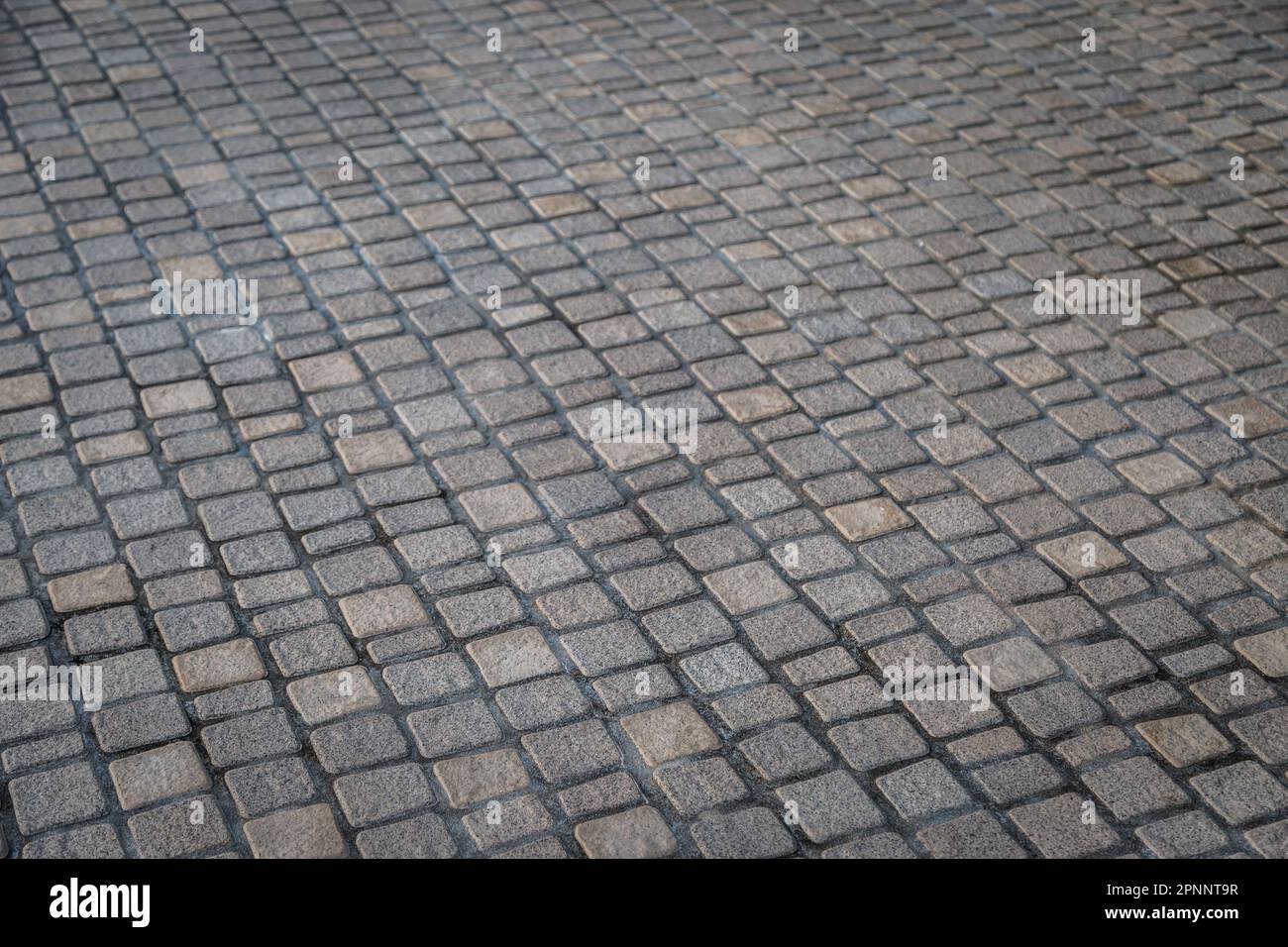 Cobblestone pavement texture background Stock Photo - Alamy