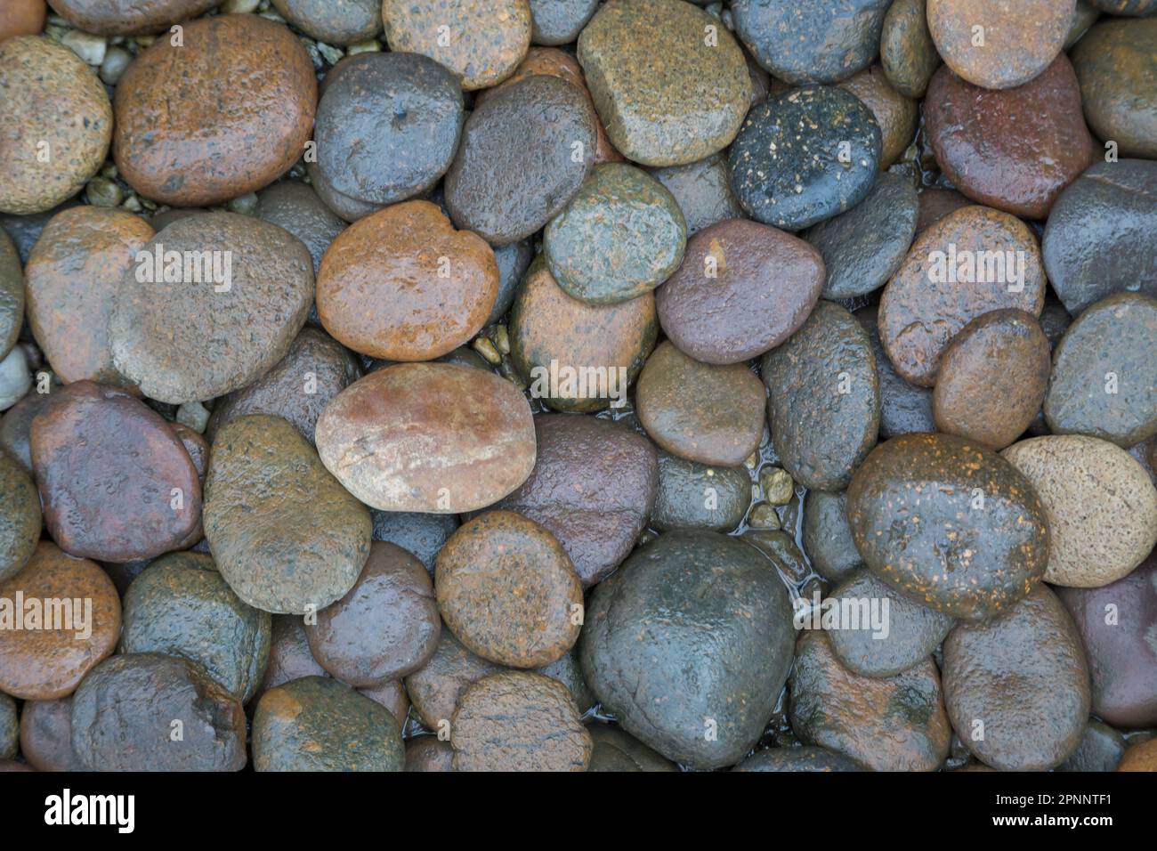 Wet rock river texture background Stock Photo - Alamy
