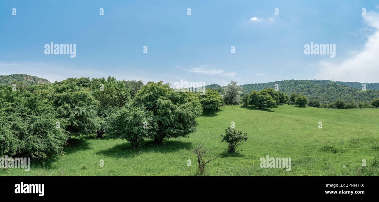 Kyrgyzstan nature green landscape with vast mountains. Kyrgyzstan is a ...