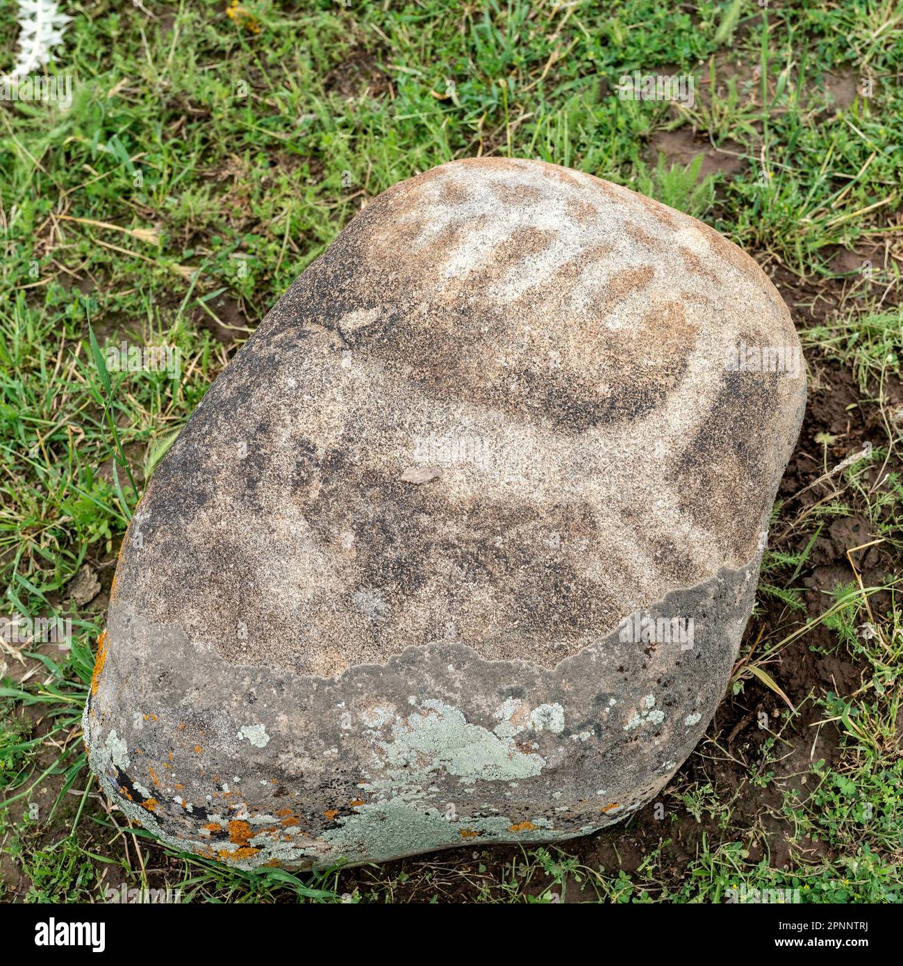 Petroglyph in Kyrgyzstan. An ancient rock carving and engraving known ...