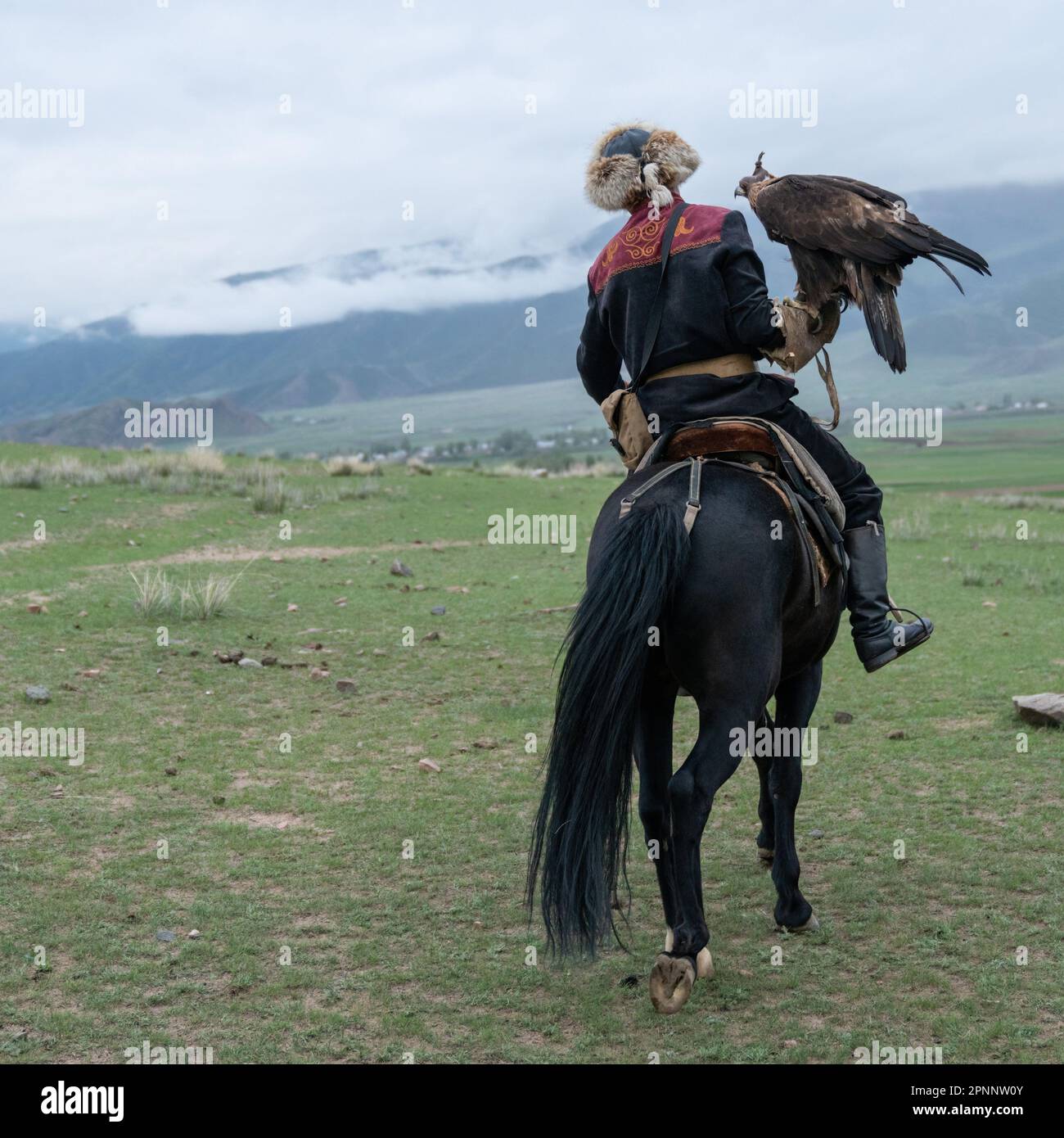 Issyk Kul, Kyrgyzstan - May 2022: Eagle trainer on a horse and his golden eagle, skilled in ...