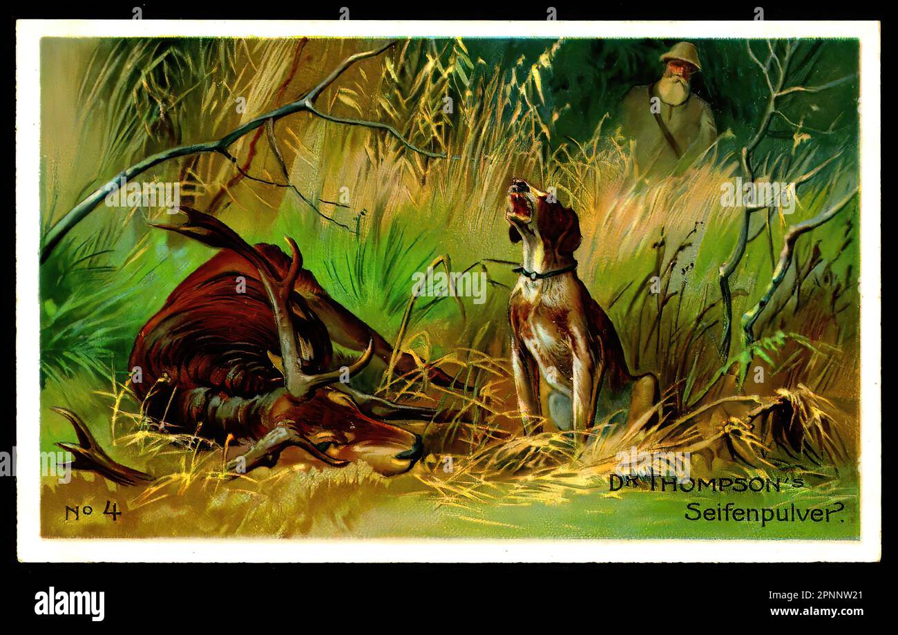 Hunting Dogs - Vintage German Tradecard Stock Photo - Alamy