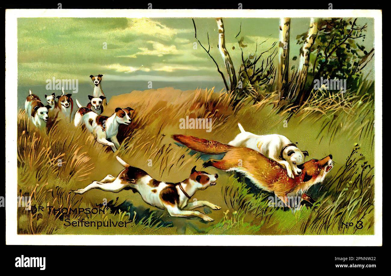 Hunting Dogs - Vintage German Tradecard Stock Photo - Alamy