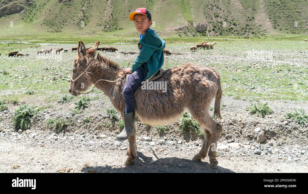 Kyrgyzstan - May 2022: Kyrgyz kid riding a donkey in the countryside ...