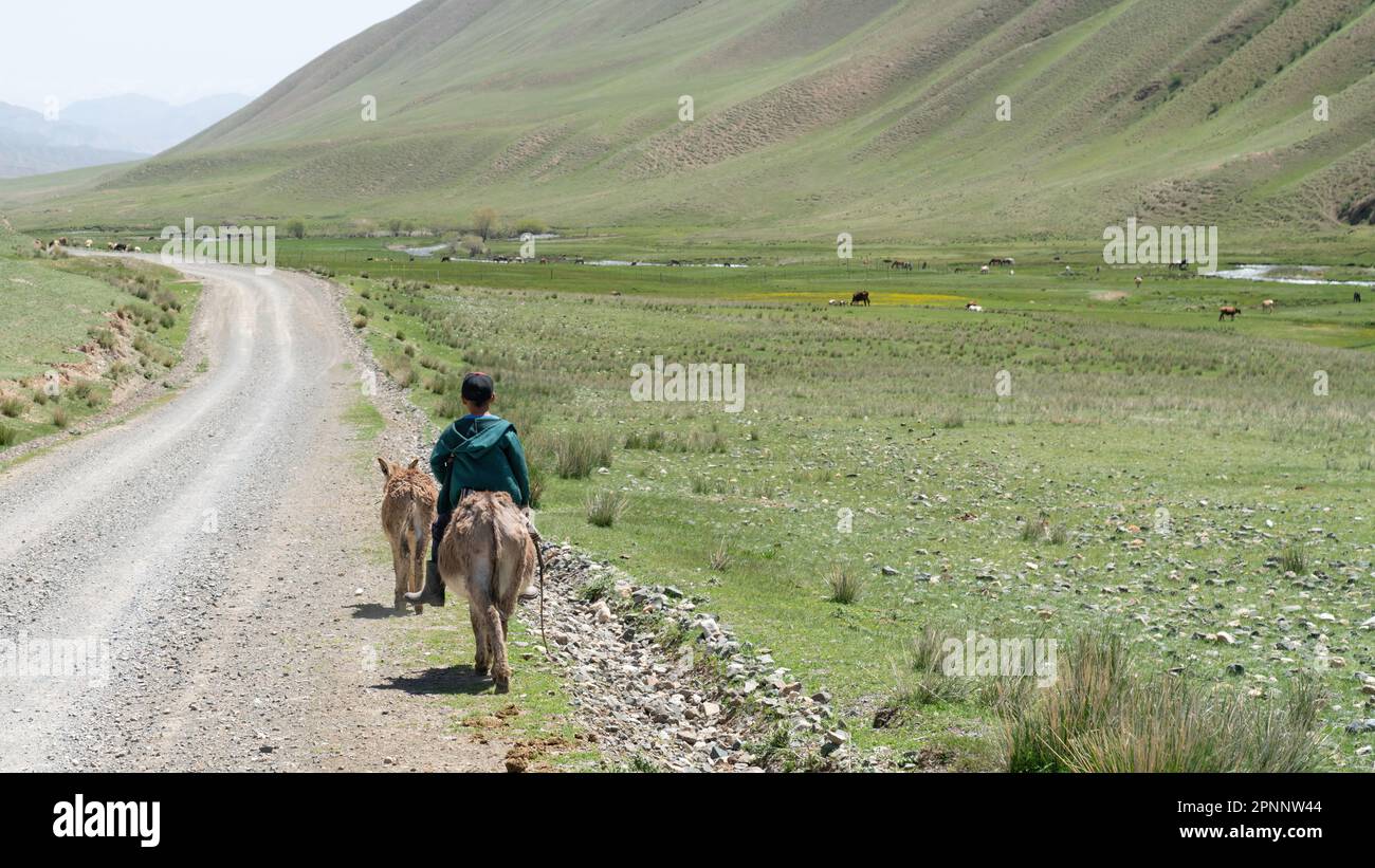 Kyrgyzstan - May 2022: Kyrgyz kid riding a donkey in the countryside ...