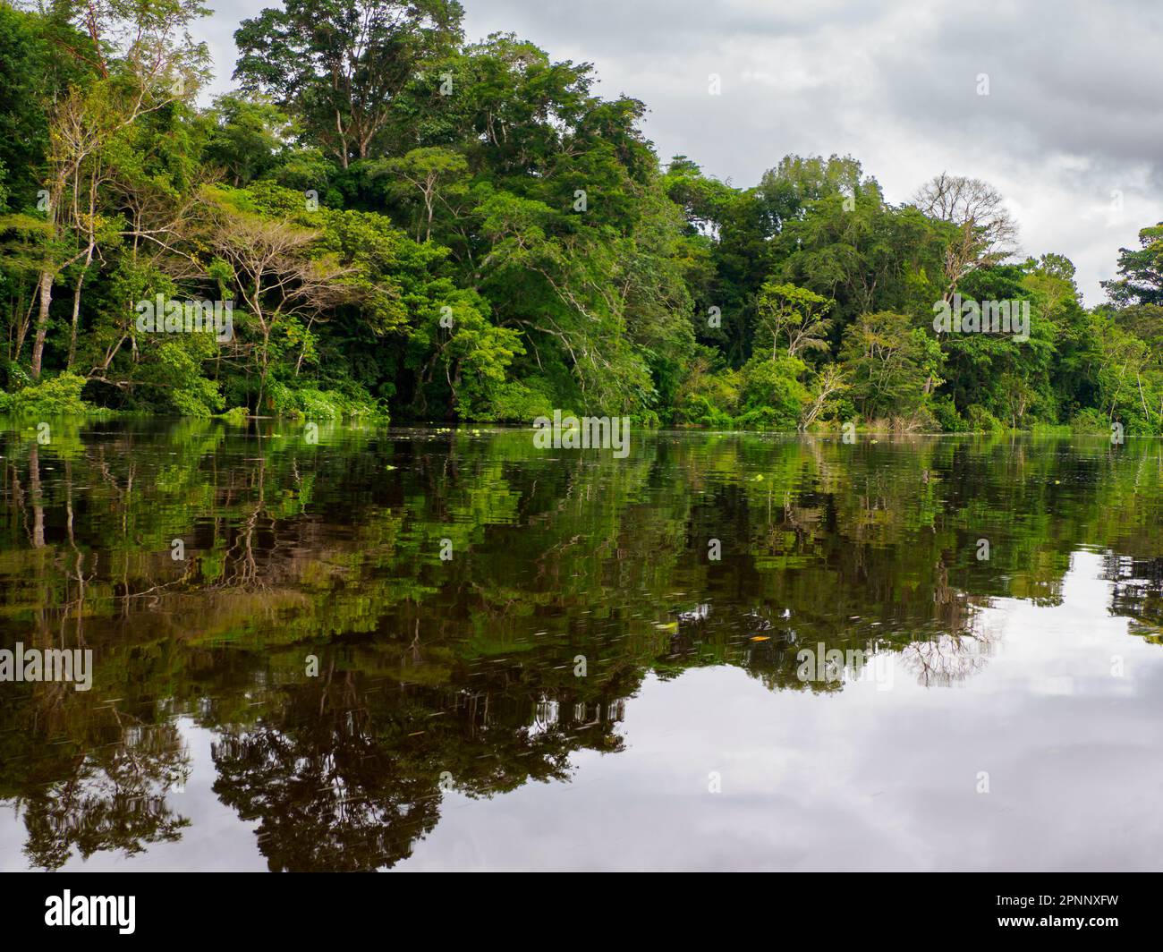 The Marañón River (Maranon) in Reservas Nacional Pacaya Samiria ...