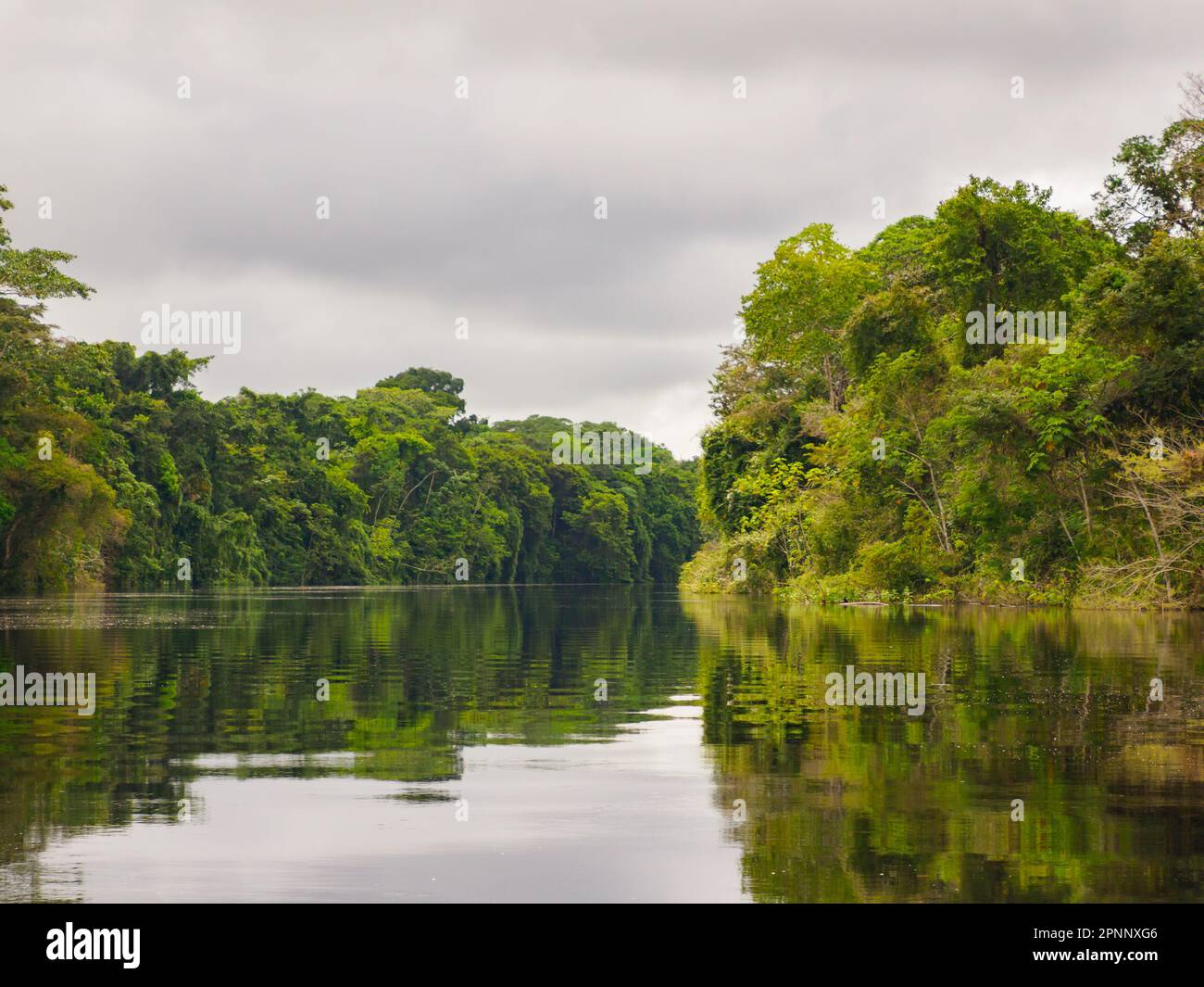 The Marañón River (Maranon) in Reservas Nacional Pacaya Samiria ...