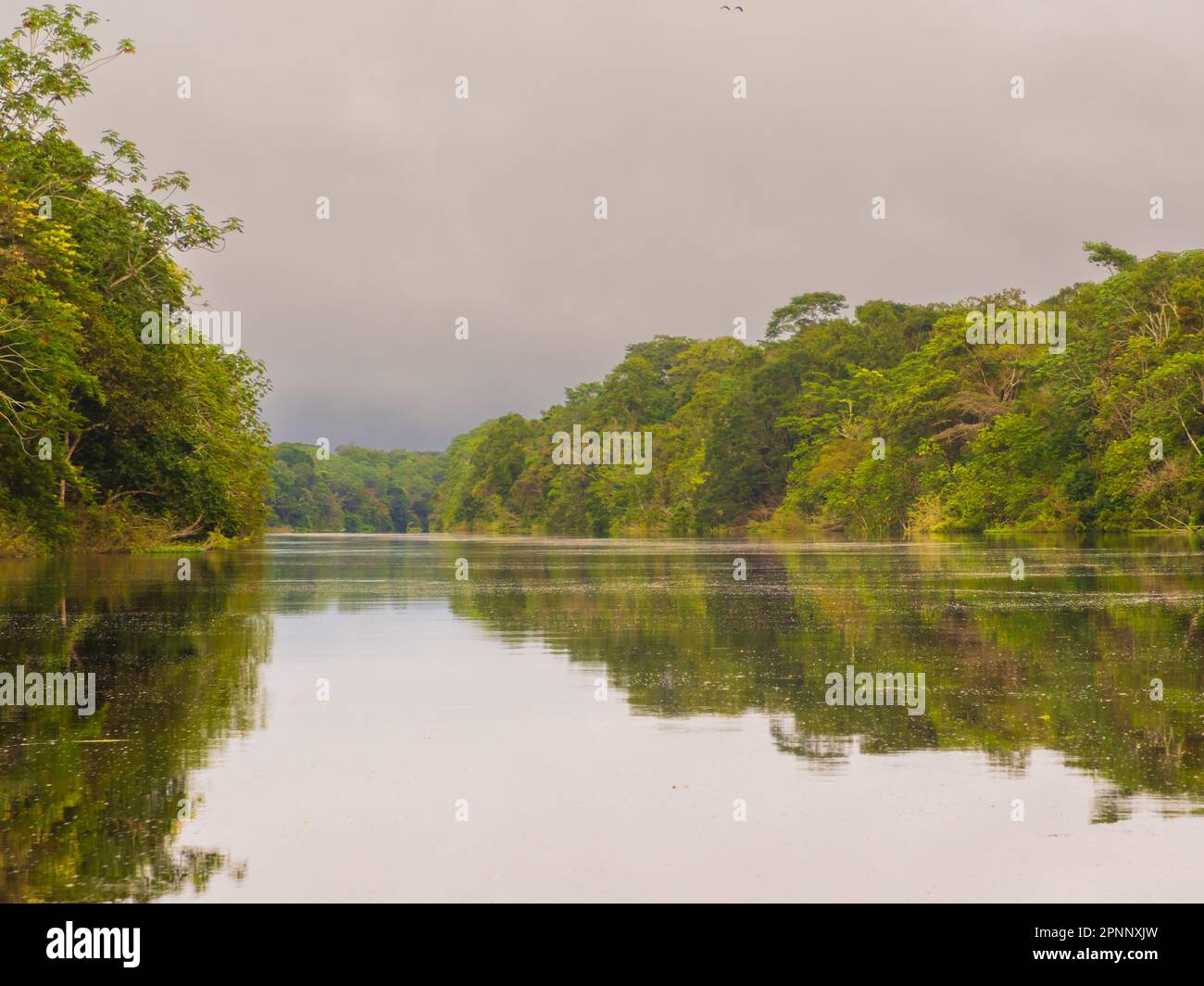 The Marañón River (Maranon) in Reservas Nacional Pacaya Samiria ...