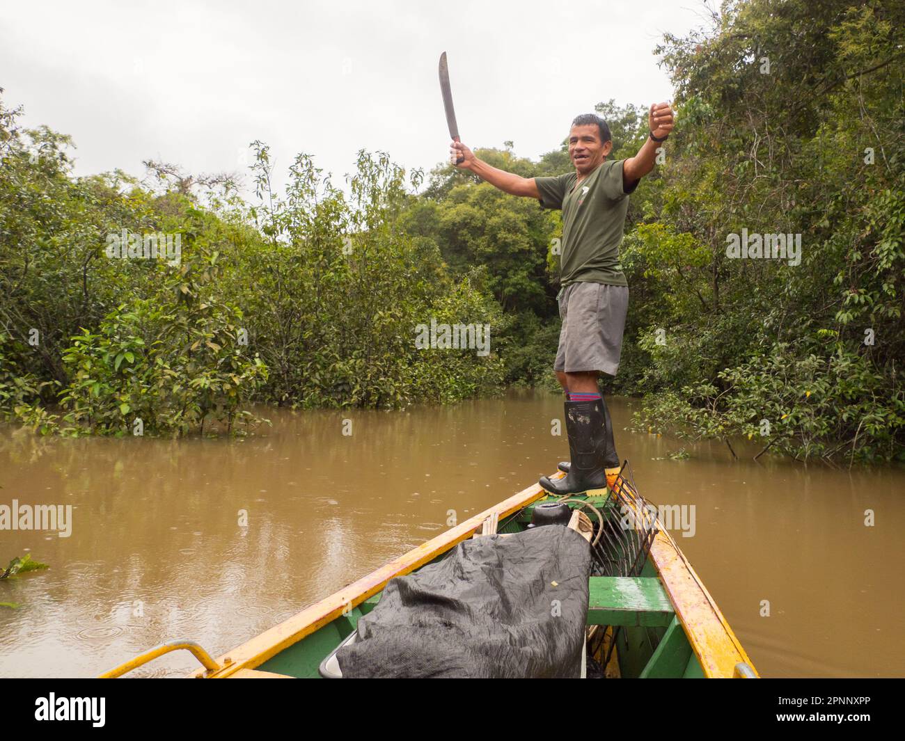 Amazonia - Dec 2019: Local guide navigates boat that sails through the ...