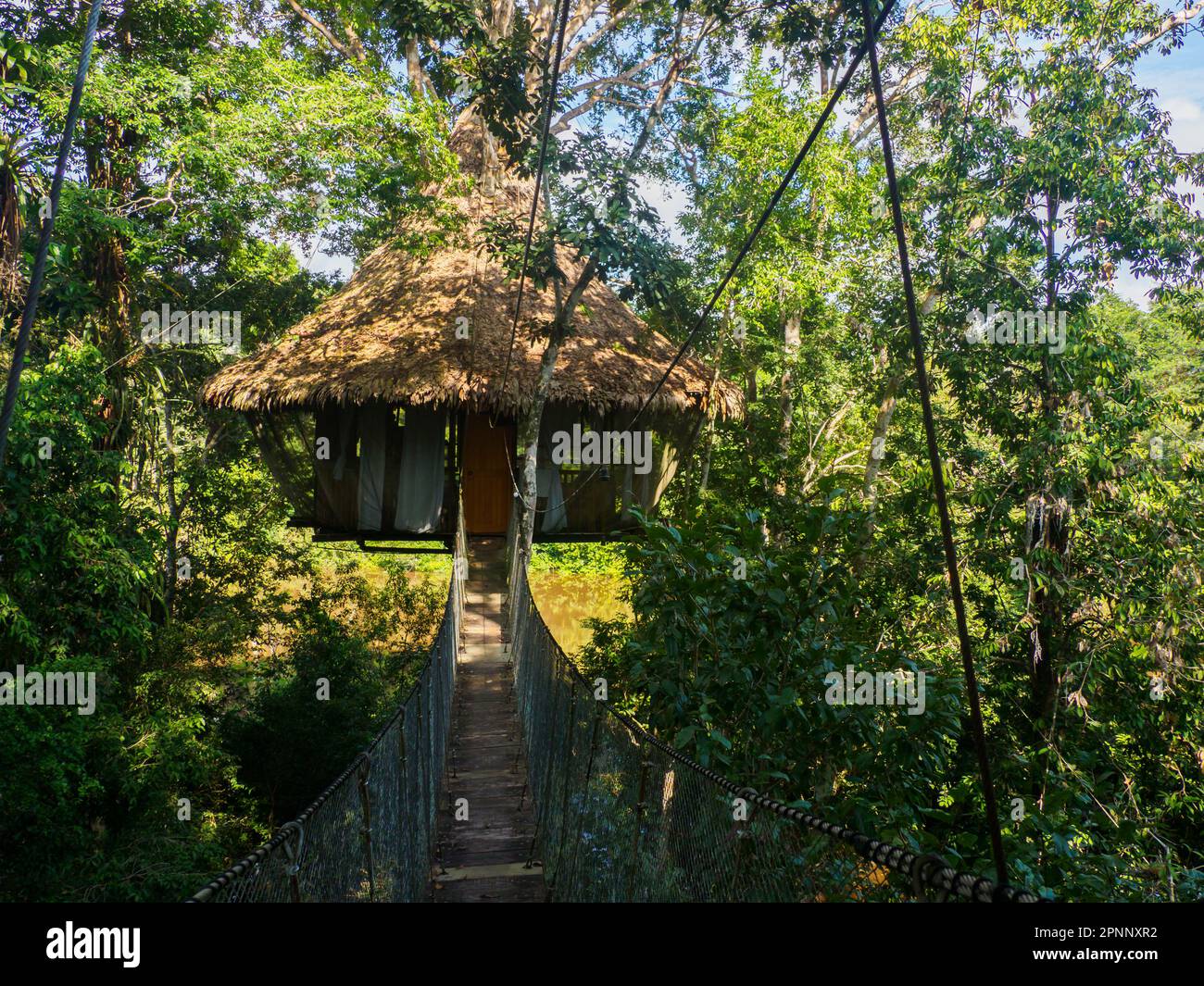 Glamping accommodation in the Amazon rainforest. Wooden treehouse ...