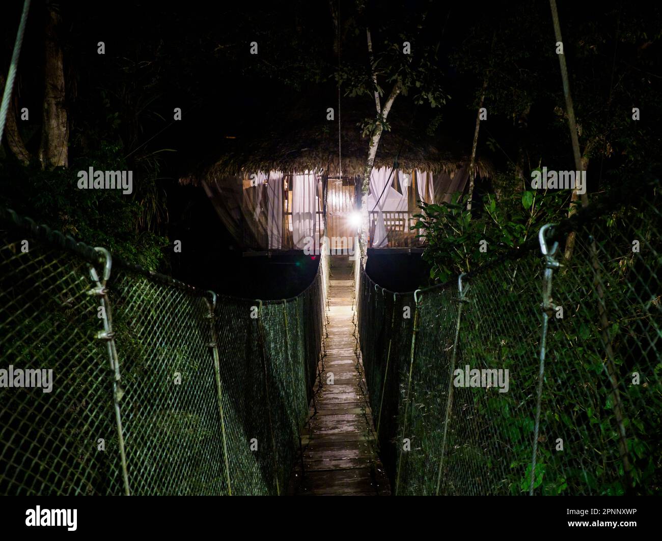 Glamping accommodation in the Amazon rainforest. Wooden treehouse ...