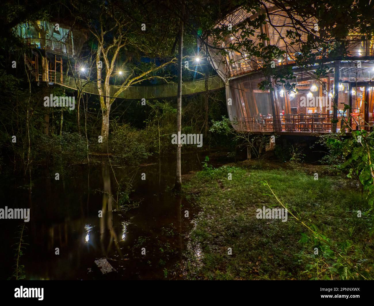 Glamping accommodation in the Amazon rainforest. Wooden treehouse ...