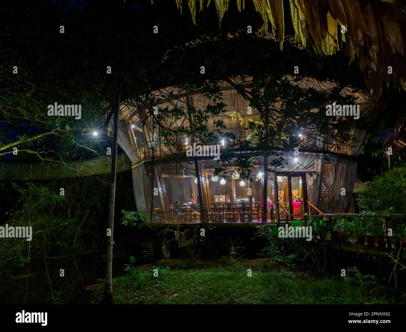Glamping accommodation in the Amazon rainforest. Wooden treehouse ...