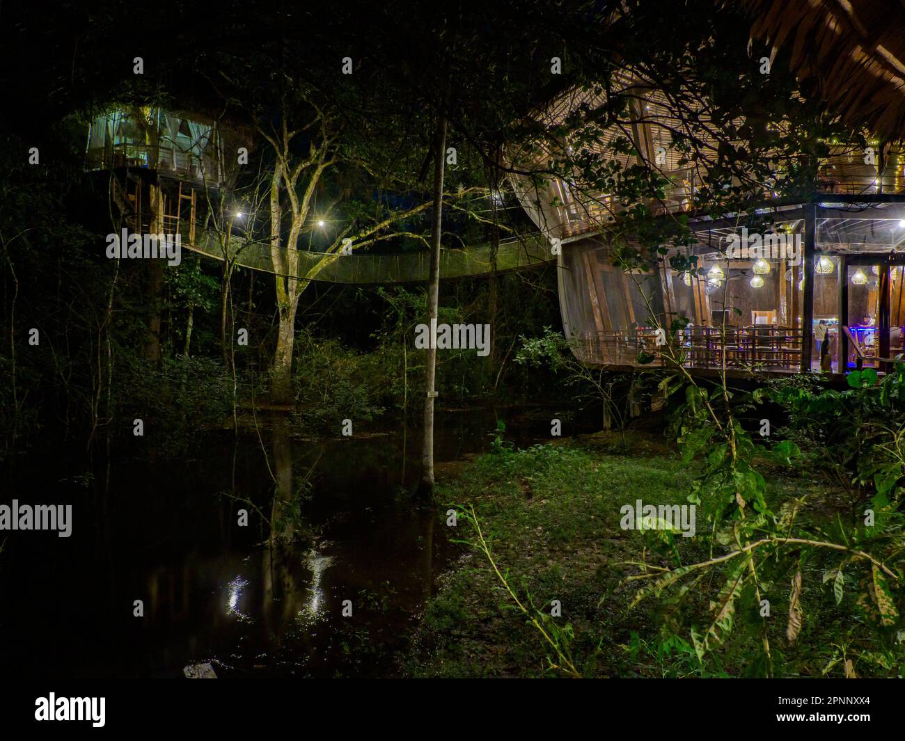 Glamping accommodation in the Amazon rainforest. Wooden treehouse ...