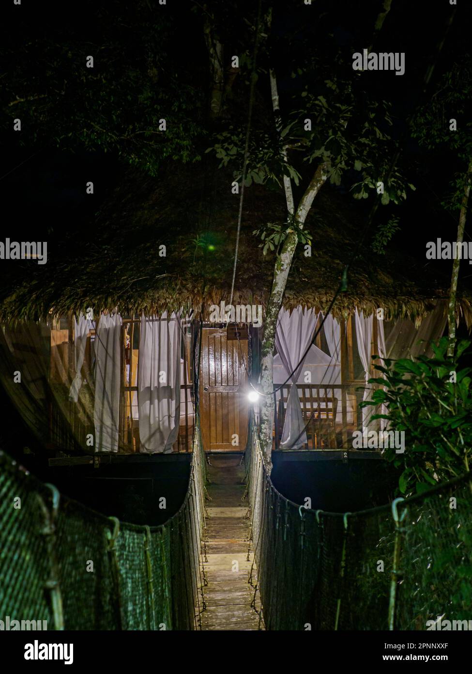 Glamping accommodation in the Amazon rainforest. Wooden treehouse ...
