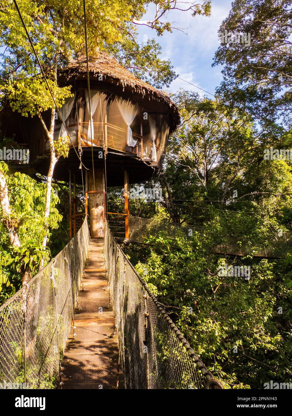 Glamping accommodation in the Amazon rainforest. Wooden treehouse ...