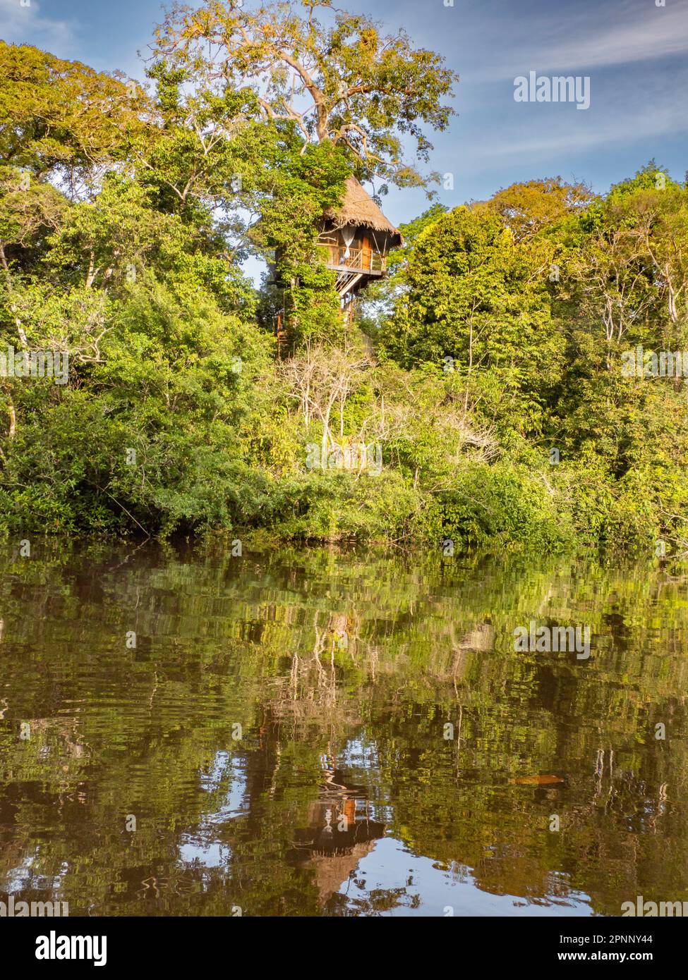 Glamping accommodation in the Amazon rainforest. Wooden treehouse ...