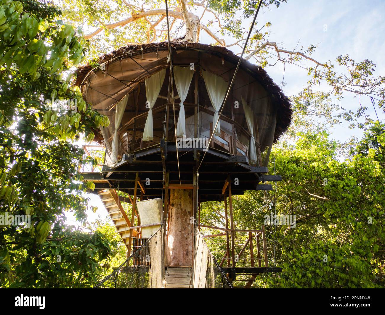 Glamping accommodation in the Amazon rainforest. Wooden treehouse ...