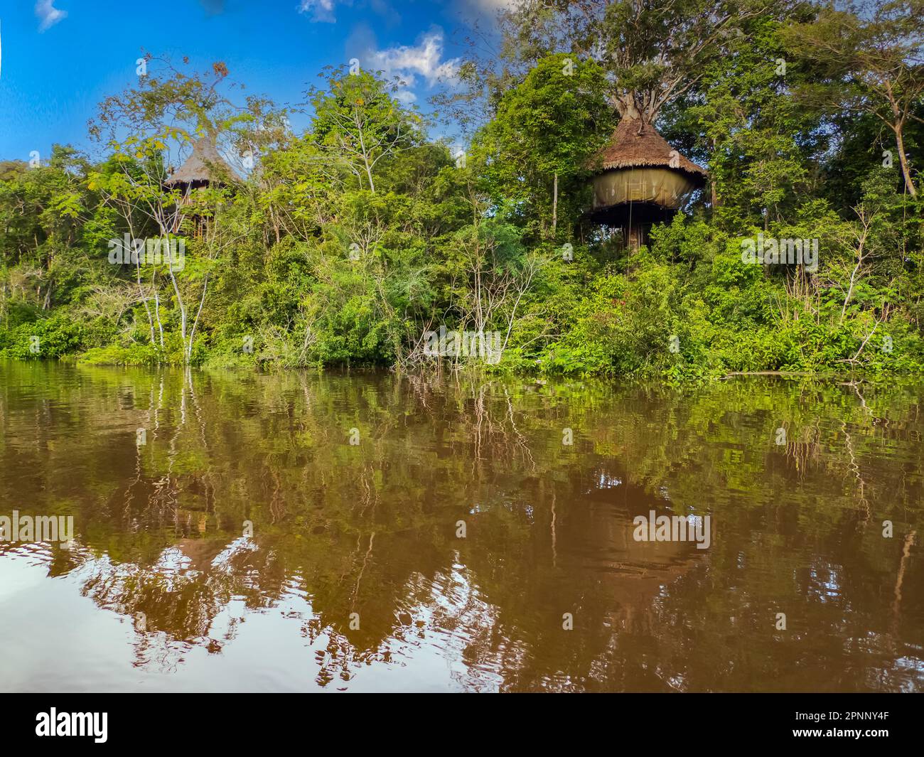 Glamping accommodation in the Amazon rainforest. Wooden treehouse ...