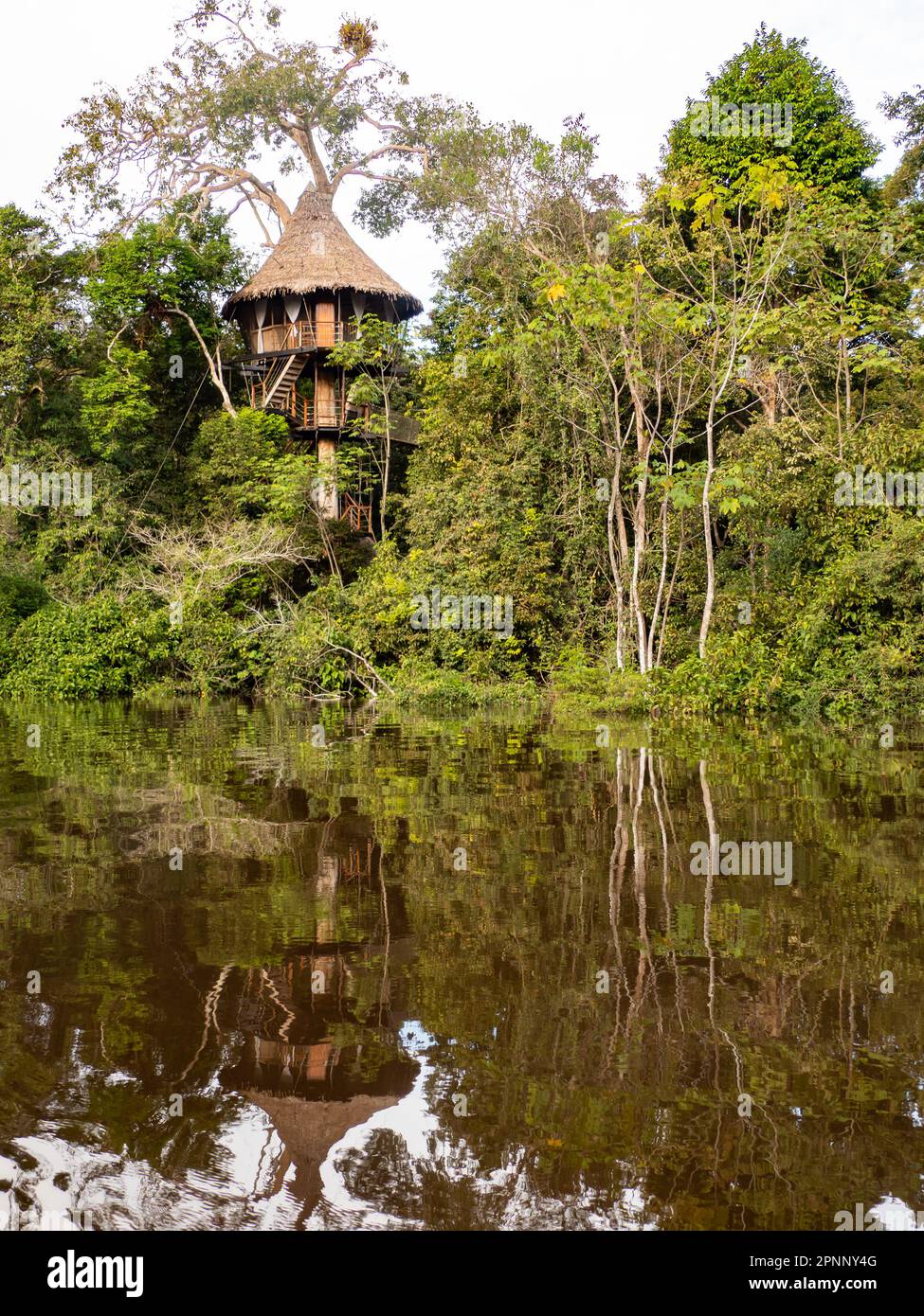 Glamping accommodation in the Amazon rainforest. Wooden treehouse ...
