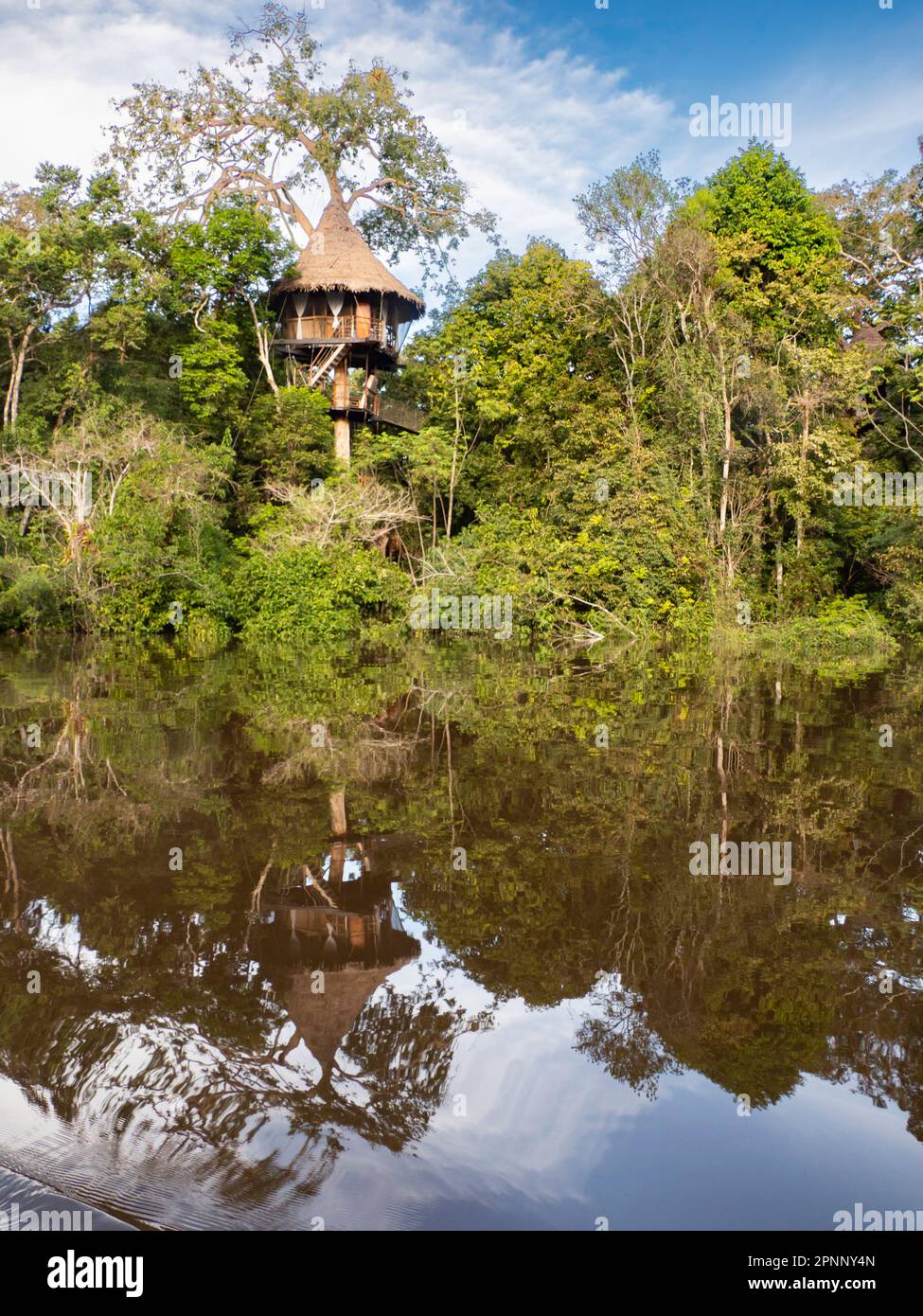 Glamping accommodation in the Amazon rainforest. Wooden treehouse ...