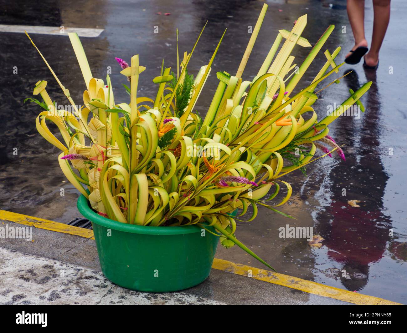 A palm made of palm leaves on palm sunday in the rainforests of the ...