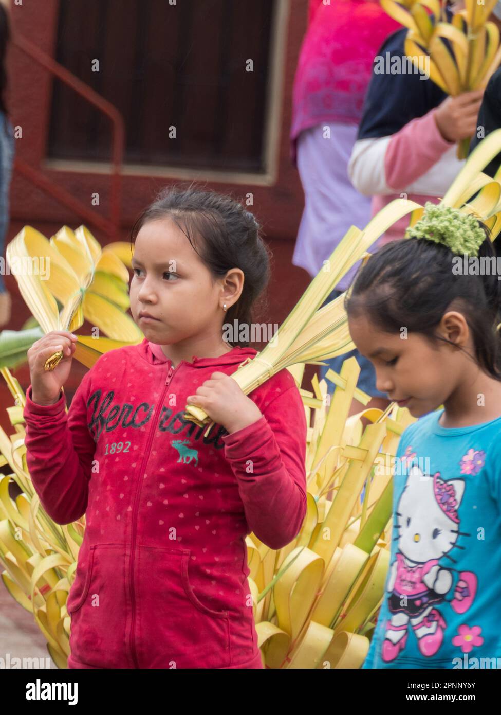 Iquitos, Peru- April, 2022: Small peruvian girl is selling the palms ...