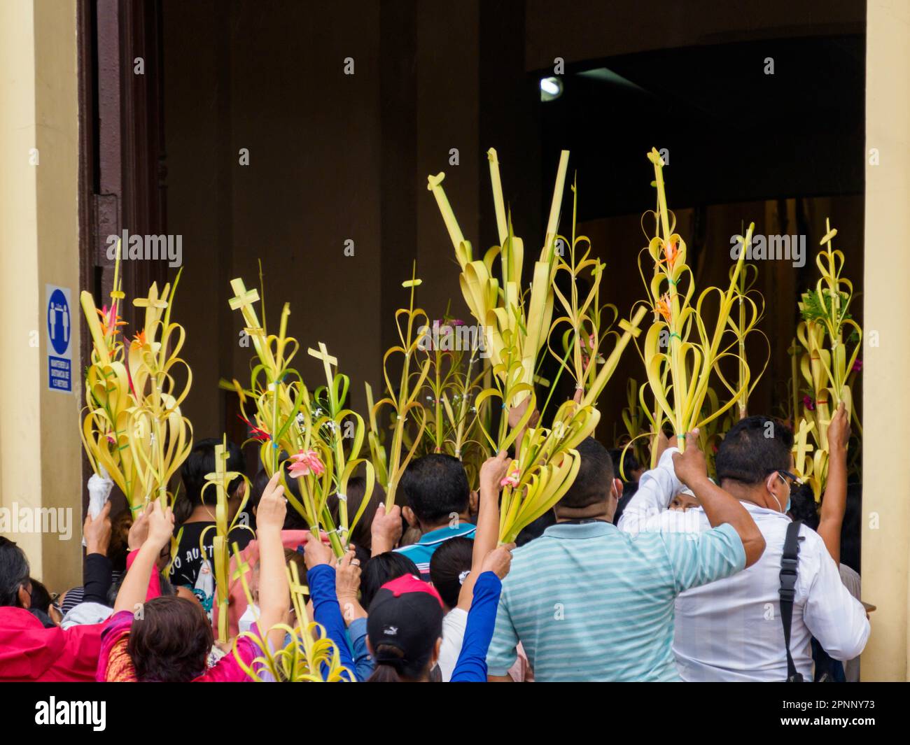 Pray for amazonia hi-res stock photography and images - Alamy