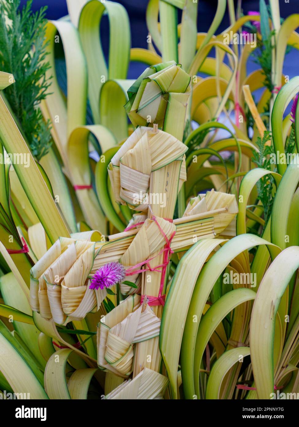 A palm made of palm leaves on palm sunday in the rainforests of the ...