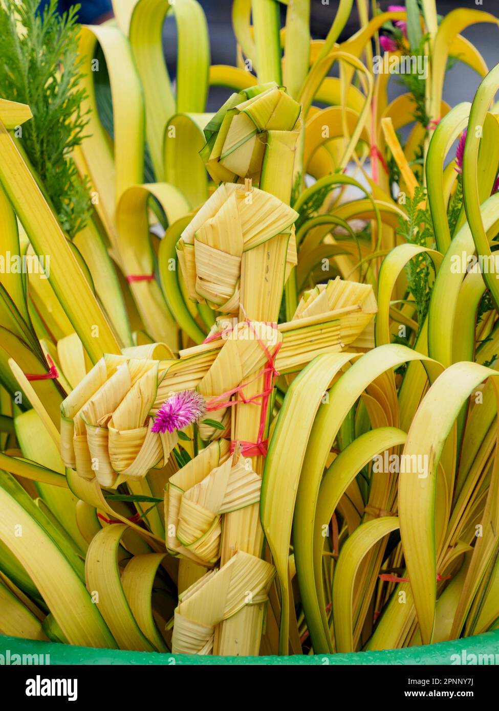 A palm made of palm leaves on palm sunday in the rainforests of the ...