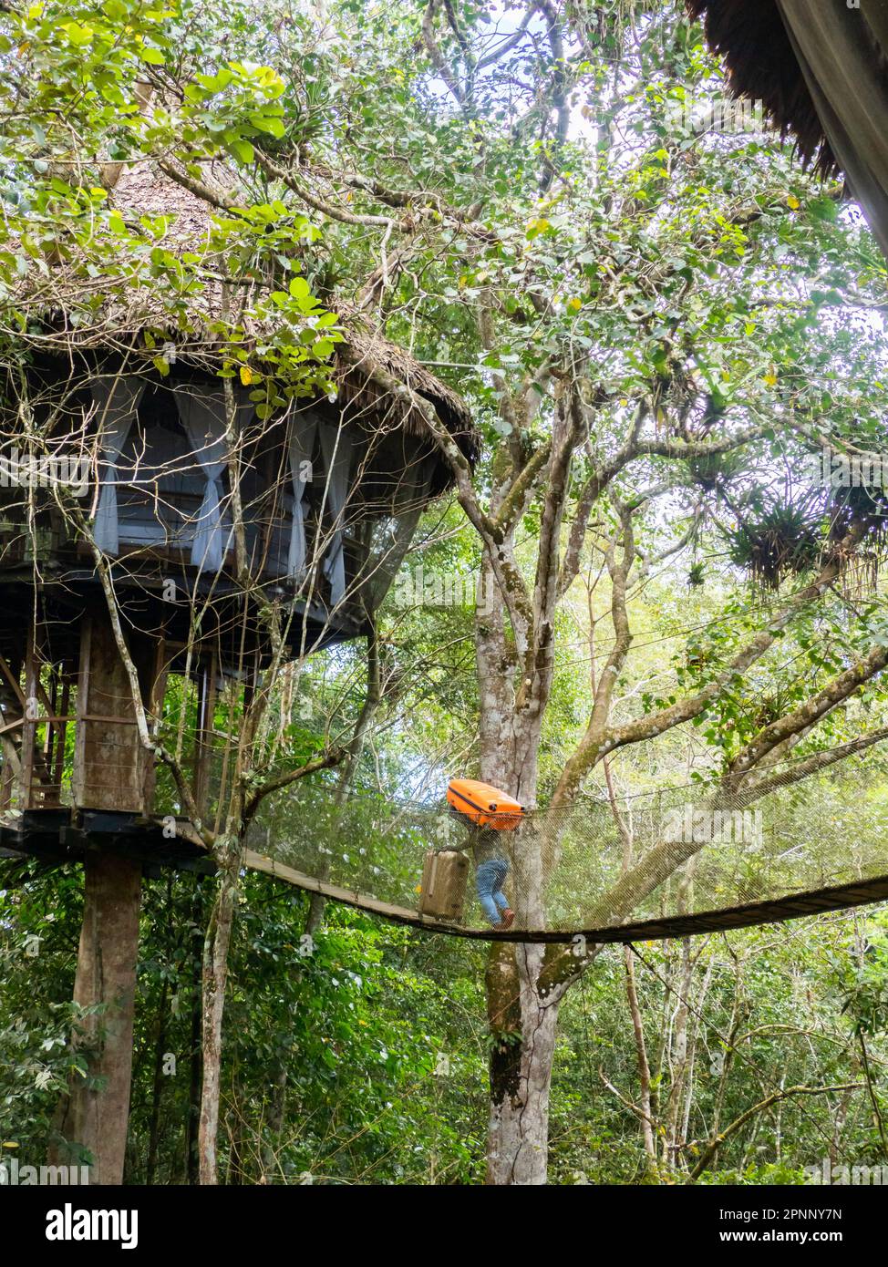 Glamping accommodation in the Amazon rainforest. Wooden treehouse ...