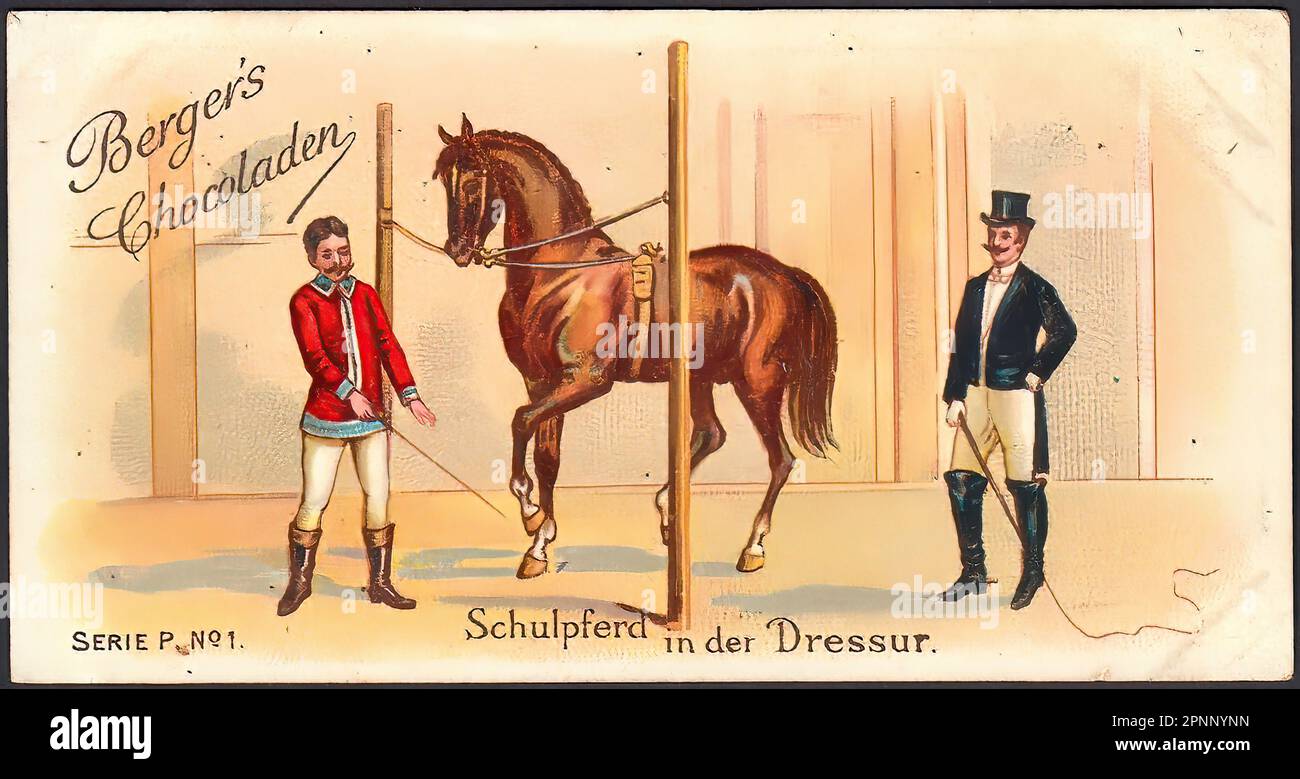 Schooling Horse in Dressage - Vintage German Tradecard Stock Photo - Alamy