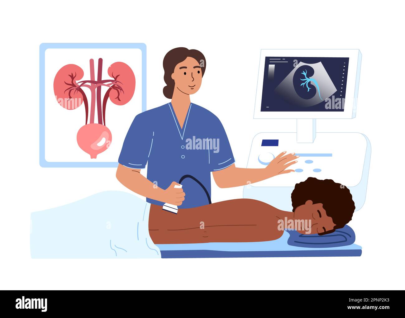 Nephrologist Ultrasound Doctor Sonographer Diagnosing,Consultate ...