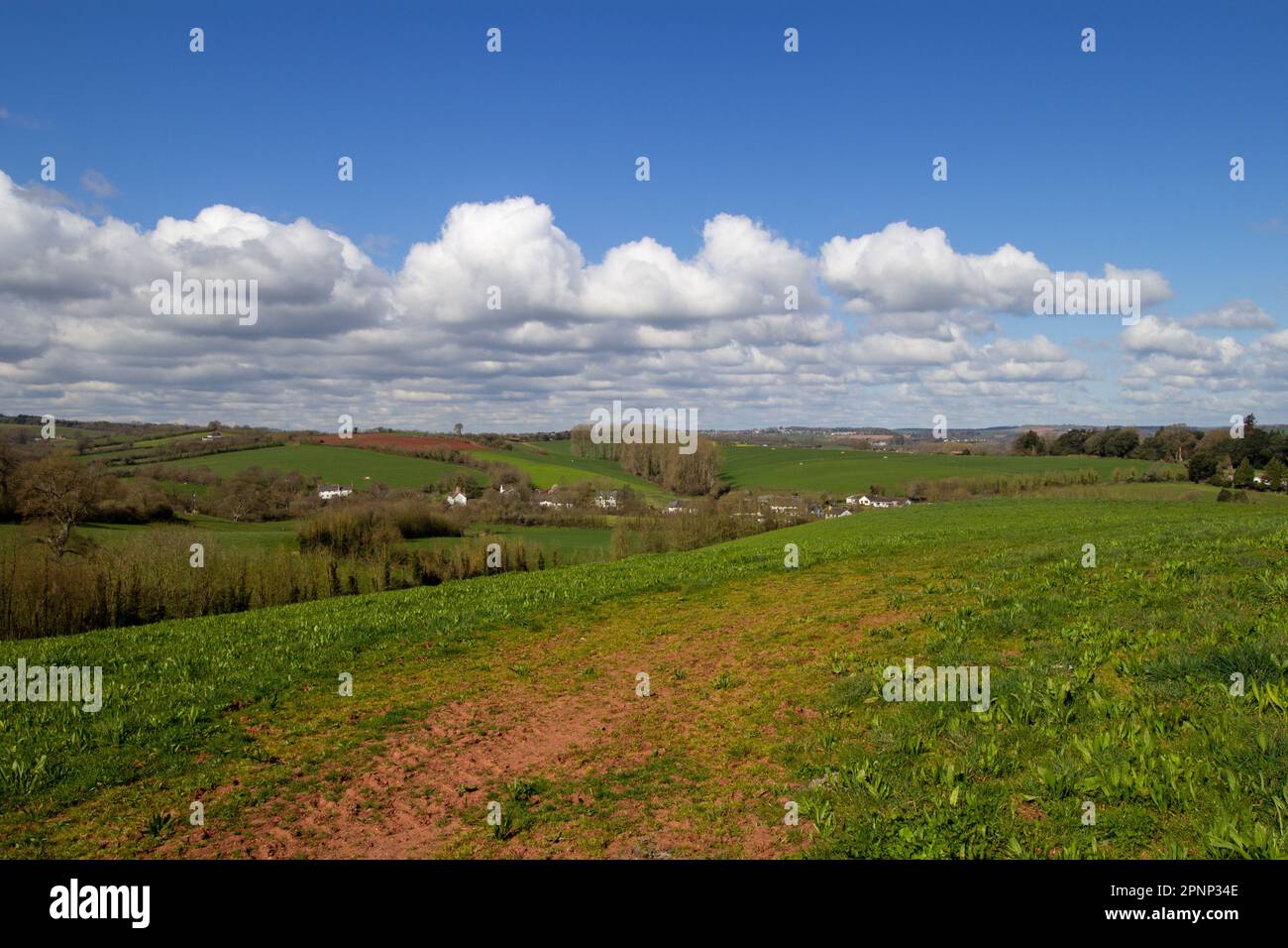 Typical countryside of Devon with green fields, gentle hills with ...