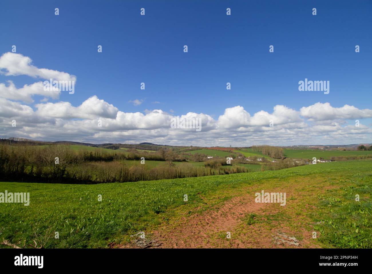 Typical countryside of Devon with green fields, gentle hills with ...