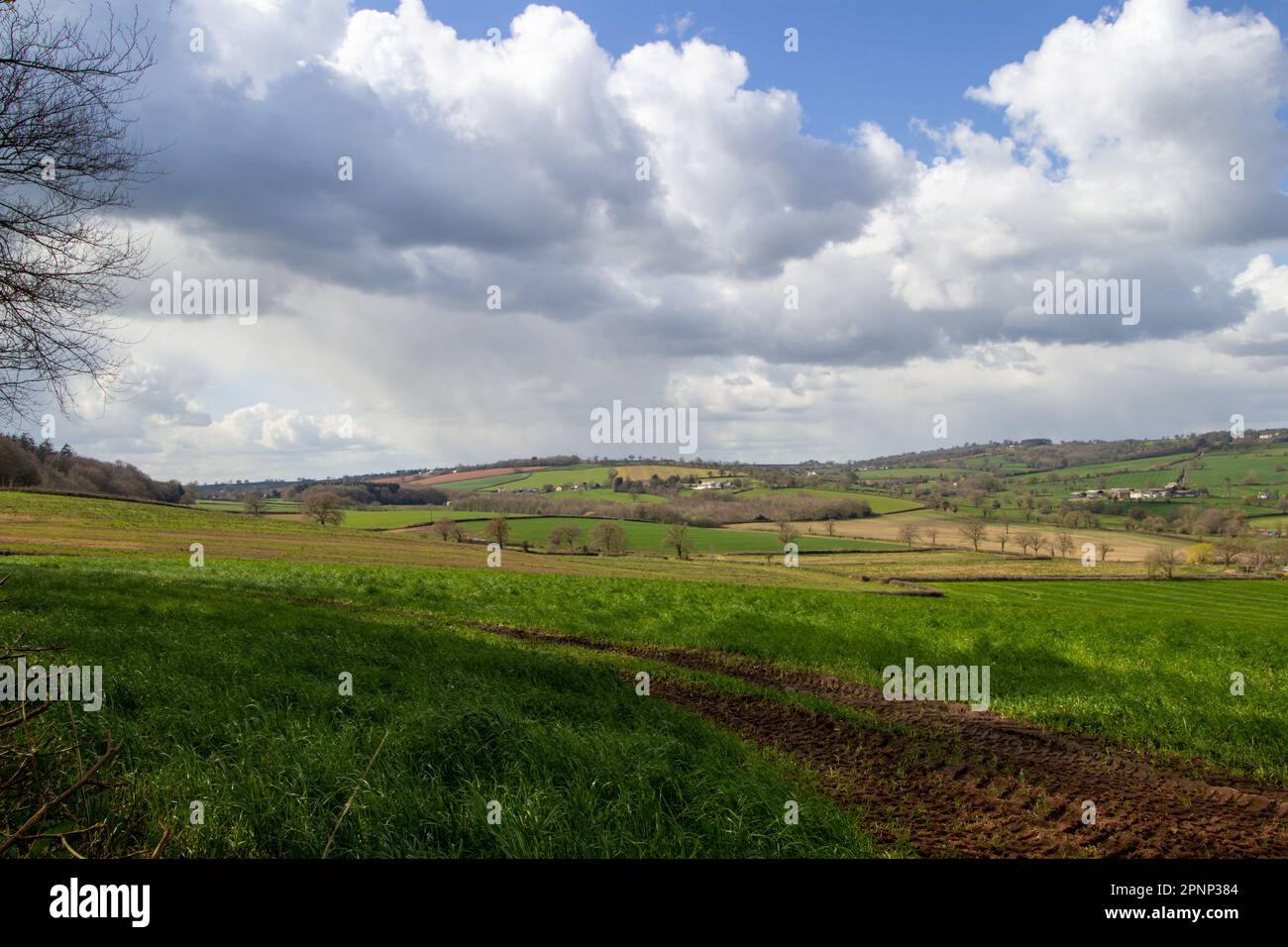 Typical countryside of Devon with green fields, gentle hills with ...