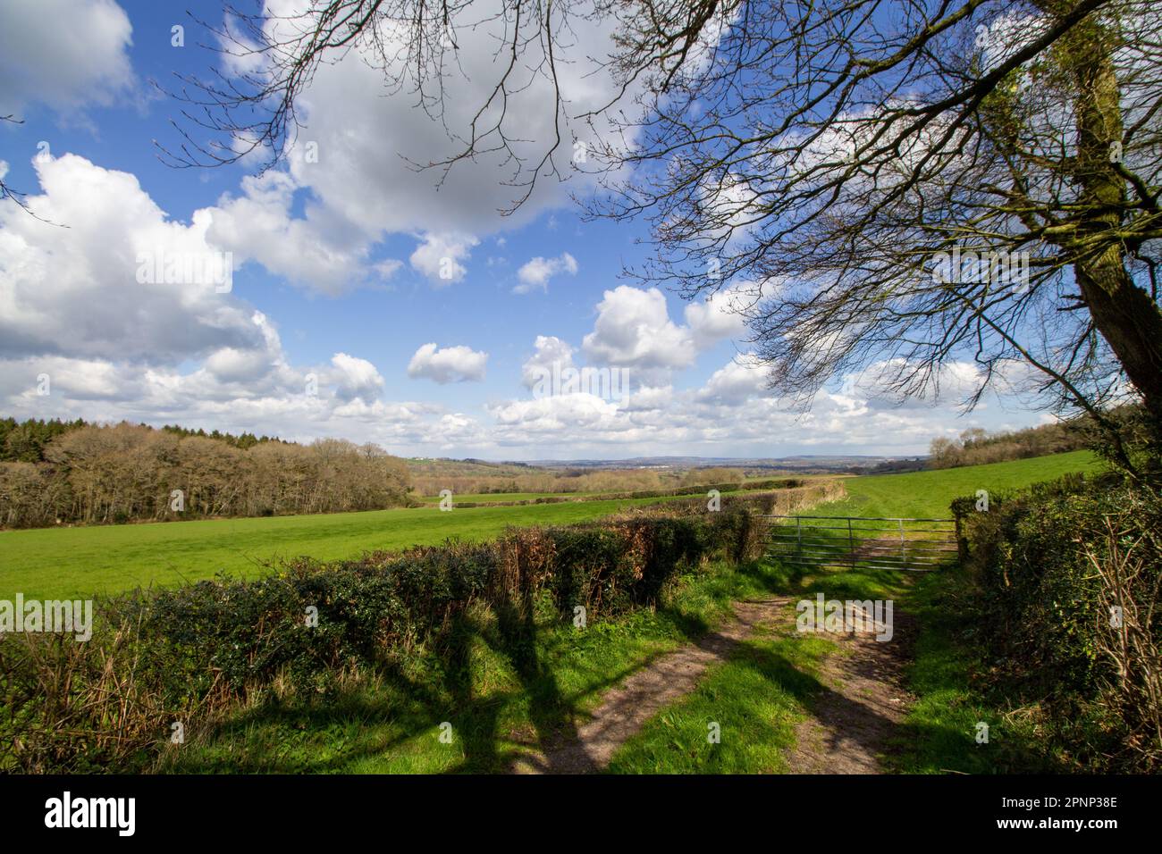 Typical countryside of Devon with green fields, gentle hills with ...
