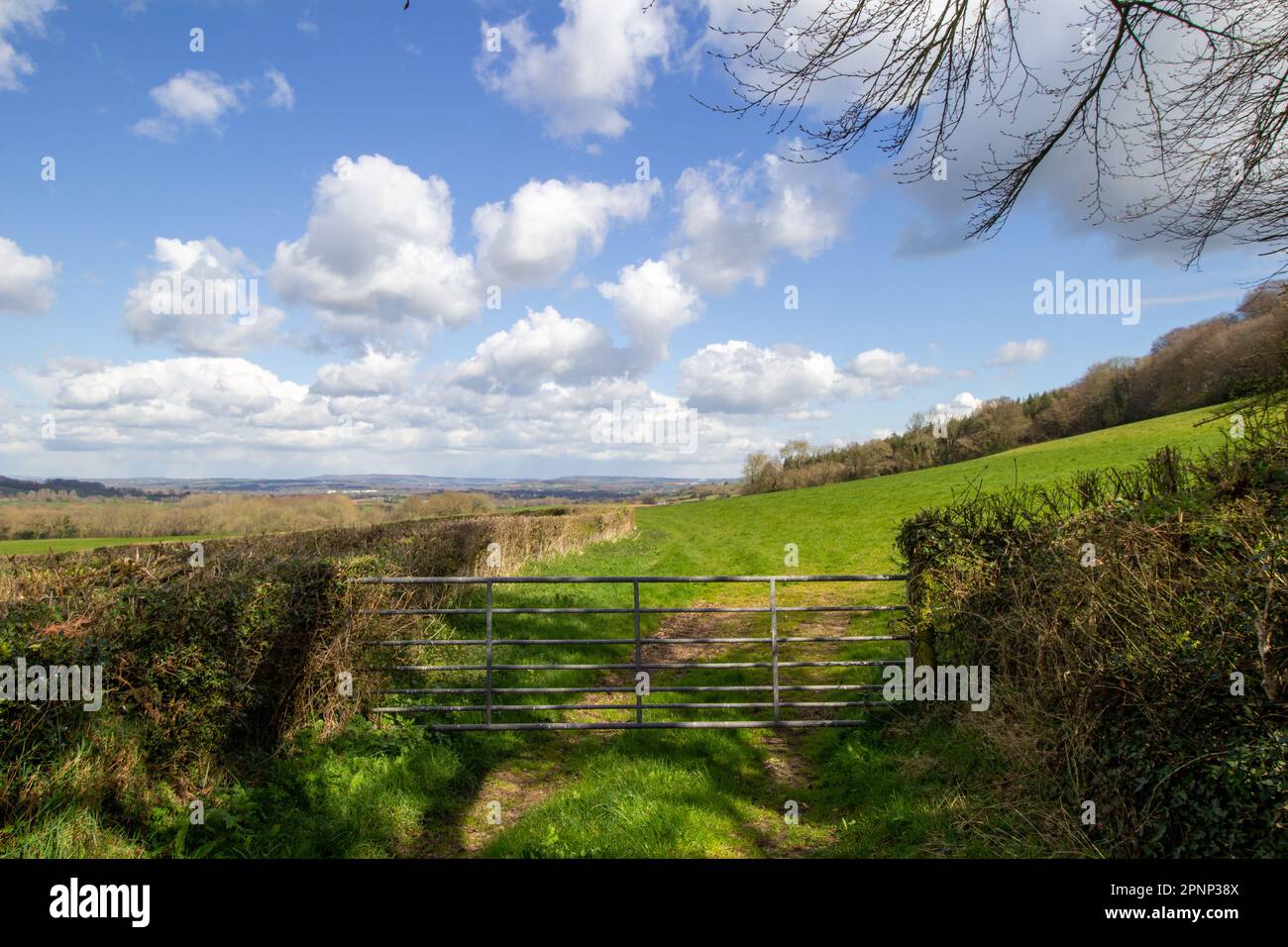 Typical countryside of Devon with green fields, gentle hills with ...