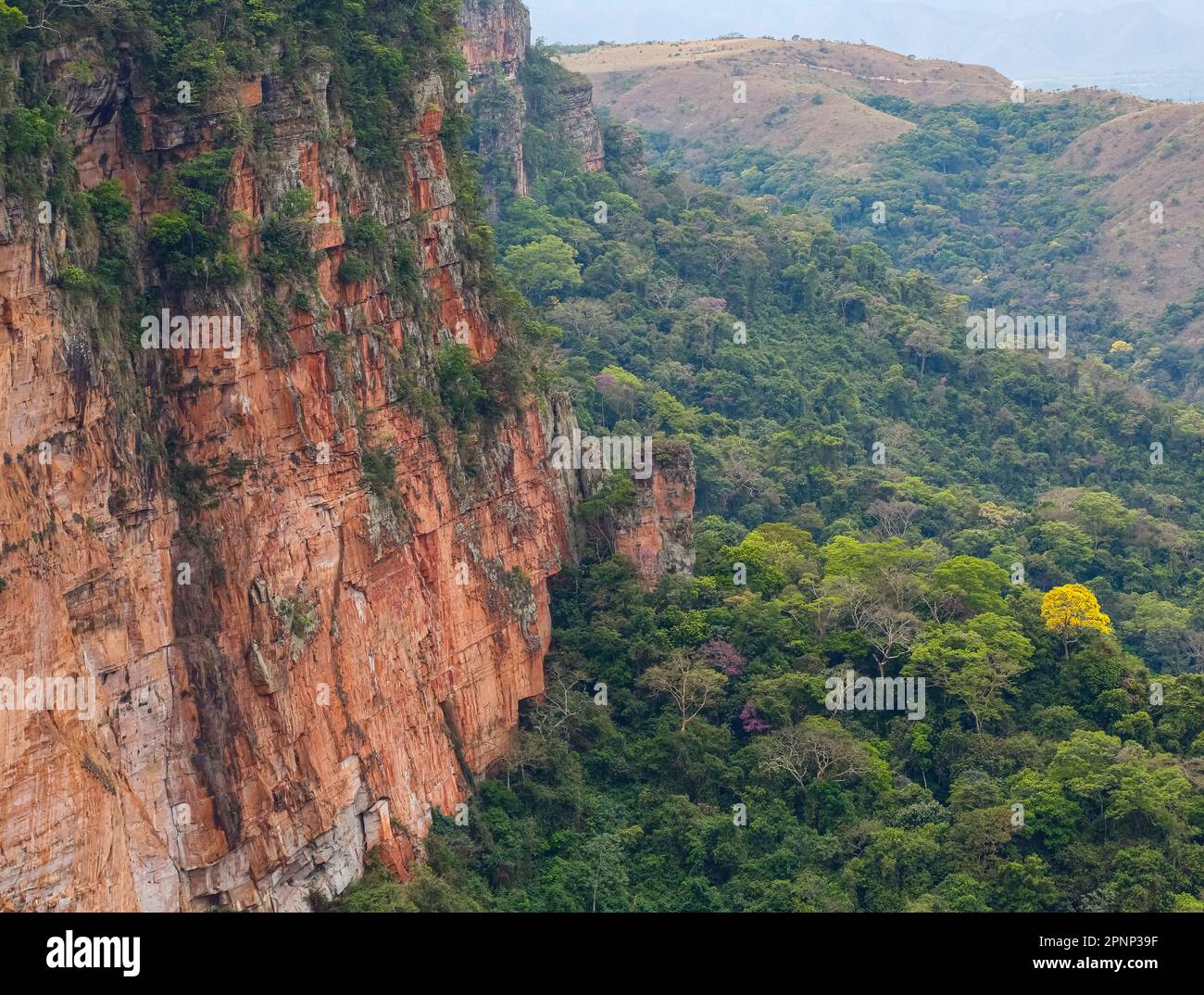 Close up of a cliff edge and view in a valley with rainforest pockets ...